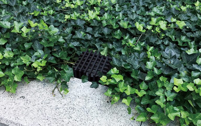 ＜日之出水道機器株式会社＞効率的な排水と景観性を高めた植栽帯用の排水装置 グリーンキューブドレイン | BiC建材LABO